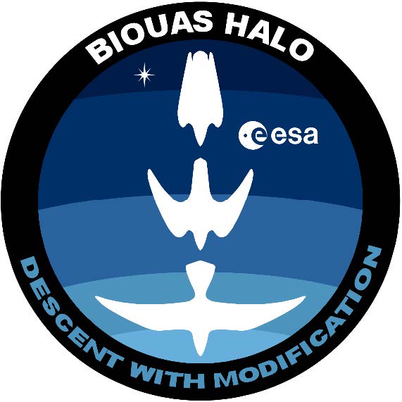 Bio-Inspired Morphing Wing UAV for deployment from HAPS and Orbit ... Bio-Inspired Morphing Wing UAV for deployment from HAPS and Orbit ...